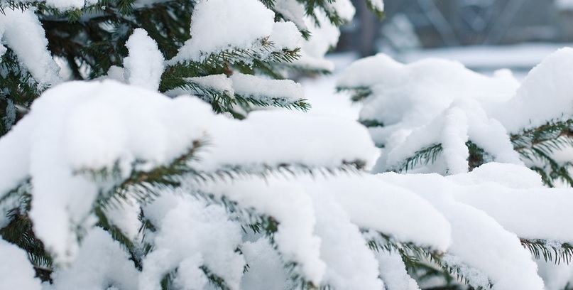 The Winter Storm – Haoyan Do